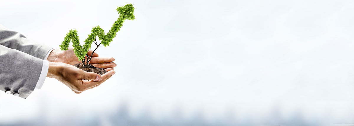 Our Services | Investment Advice and Planning